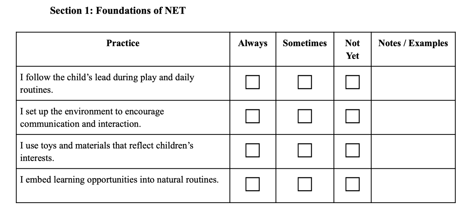 Natural Environment Teaching (NET) and Naturalistic Instruction – EBIP